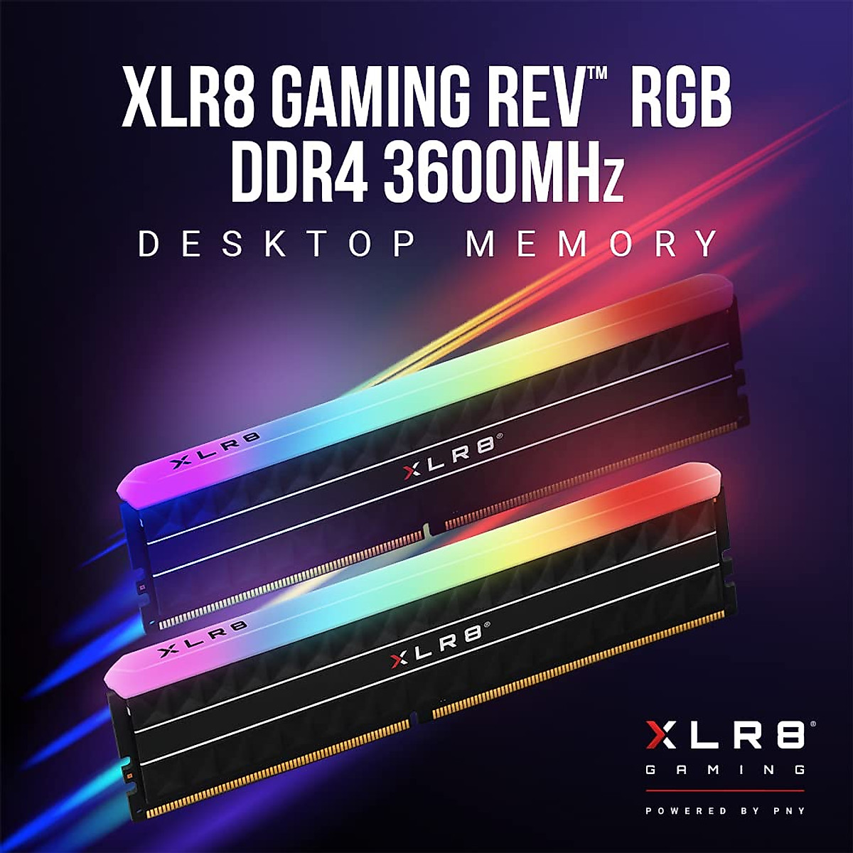 PNY XLR8 Gaming REV RGB 32GB (2x16GB) DDR4 3600MHz (PC4-28800) CL18 1.35V Dual Channel Desktop (DIMM) Memory – MD32GK2D4360018X2RGB