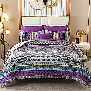 Boho Comforter Set Queen Size,8 Piece Bed in a Bag Bohemian Striped Bedding Quilt Set,Purple Paisley Floral Comforter and Sheet Set,Soft Microfiber Complete Bedding Sets for All Season