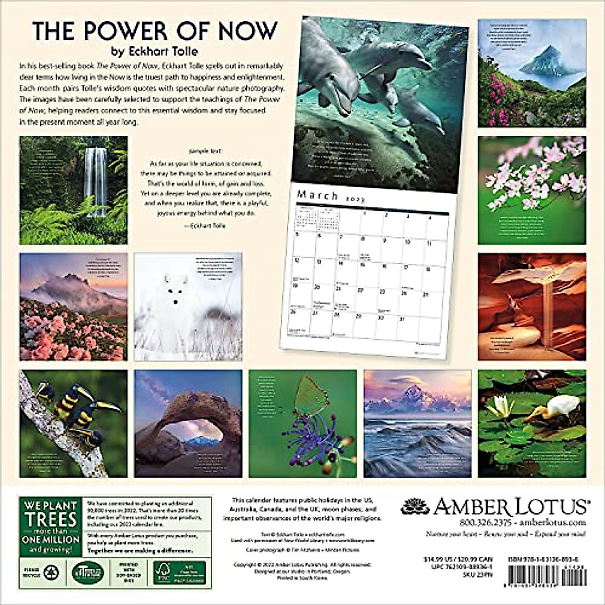 The Power of Now 2023 Wall Calendar: A Year of Inspirational Quotes by Eckhart Tolle | 12" x 24" Open | Amber Lotus Publishing
