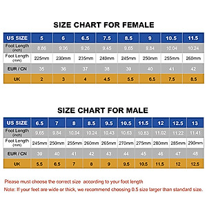 AIRAVATA Fashion Sneakers for Mens Womens Breathable Non Slip Walking Shoe Athletic Walking Road Running Shoes Grey Size 12