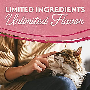 Natural Balance Limited Ingredient Adult Grain-Free Dry Cat Food, Salmon & Green Pea Recipe, 10 Pound (Pack of 1)