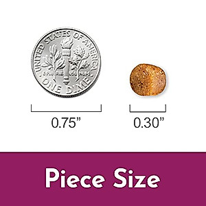 Kaytee Nutri Soft Pet Parrot & Conure Bird Food, 3 Pound