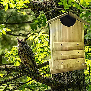 Outer Trails Owl Houses, Japanese Cedar, with Composite Weather-Tight Roof