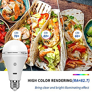 USB C Rechargeable Light Bulb with Remote Control, 7W Battery Powered Light Bulbs E26 Touch Control Dimmable LED Bulb with Timing Function, Outdoor Camping Emergency Light Bulb with Hook,6500K/1 Pack