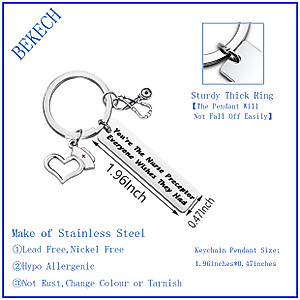 BEKECH Nurse Preceptor Gift Nurse Instructor Gift Nurse Manager Gift You Are The Nurse Preceptor Everyone Wishes They Had Keychain Nursing Instructor Appreciation Gift (silver)