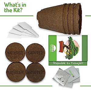 Natureit Bonsai Tree Starter Kit - Grow 4 Bonsai Trees from Seeds. All-in-One Indoor/Outdoor DIY Craft Kits for Adults Men & Women. Christmas Ideas for Plant Lovers or Mom & Dad who has Everything