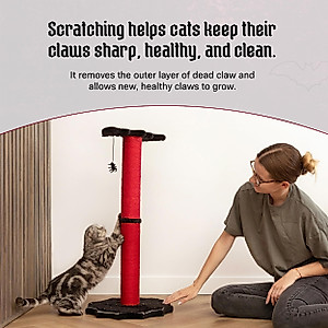 Gothic Cat Scratching Post 34 inch with Sturdy Spider Web Floor Foundation and Bat Shaped Top with Spider Toy, Halloween Cat Scratcher, Cat Tower with Scratching Post, Black and Red Color Littlesy