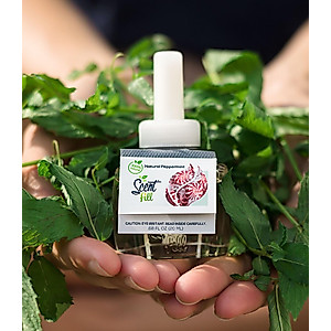 Scent Fill 100% Natural Fresh Peppermint Plug in Refills Air Freshener, Scented Oil Refills, 3 Refills