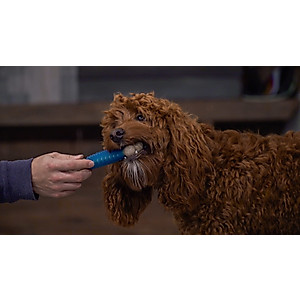 HERO | Bonetics Dental Bone | Dog Bones | Puppy Bones | Designed for Medium Dogs Up to 45 lbs (Mint Flavor)