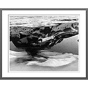 Ice Floes, 1000 Island lake (#2)