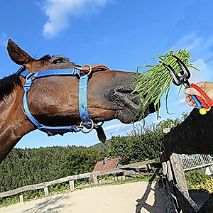 LYFOO Hay Filling Grabber Fish Grabber Pet Feeding Sissor Horse Hay Picker Hay Gripper Cow Hay Fork Pet Feeder Fork Rabbit Feeder Goat Food Feeder with Measurement Tape (4-Tine), Black