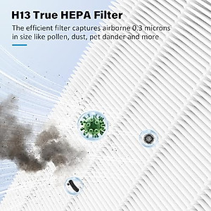 CFKREYA True HEPA Air Filter Compatible with Fellowes AeraMax 290/300/DX95 Purifiers and HF-300/AP-300PH, Part# 9287201