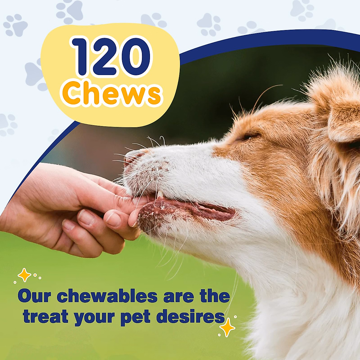 Omega 3 for Dogs with Salmon Oil, Fish Oil for Dogs Skin and Coat Supplement, Dog Allergy Relief, Hot Spot Treatment, Anti Shedding, Hip & Joint Support with EPA & DHA, Biotin, Vitamin E - 40 Servings