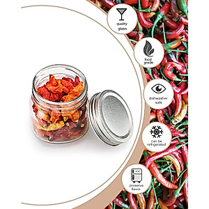 TANGLONG Mason Jars 8 oz Set of 24,Small Mason Jars,Spice Jars,8 oz Mason Jars with Lids,Small Jars with Lids,8 oz Glass Jars,Small Glass Jars with Lids