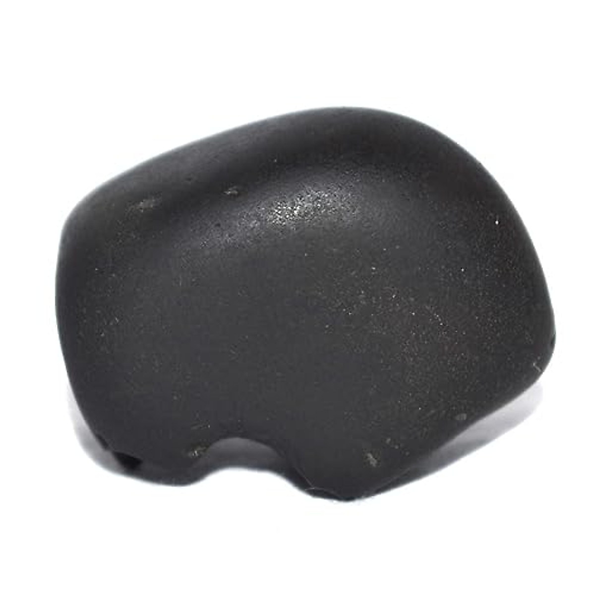 Rudrakshguru Hayagriva Shaligram - Gandaki River Nepal