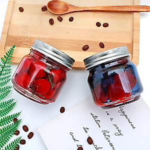 Accguan Mason Jars, 8oz Colored Glass Jars with Silver Lid,Ideal for Jam,Honey,Wedding Favors,Shower Favors, 30 PACK