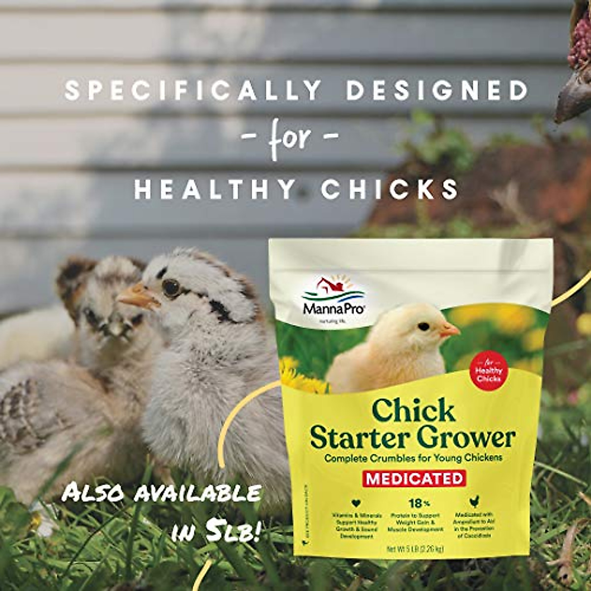 Manna Pro birds Chick Starter | Medicated Chick Feed Formulated with Amprolium | Prevents Coccidiosis | Feed Crumbles | 5 Pounds