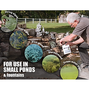 Bloom Buster Algae Control for Fish Ponds & Water Gardens - 8 Ounces - Safe for Koi Fish, Goldfish & Plants - Controls Algae in Ponds & Water Features, EPA Registered