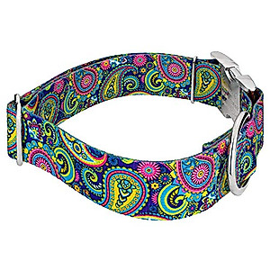 Country Brook Petz - 1 1/2 Inch Premium Bright Paisley Dog Collar, Large