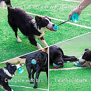Dog Toys for Aggressive Chewers,Interactive Dog Toys Tug of War, Mentally Stimulating Toys for Dogs, Puppy Teething Toys for Boredom, Dog Puzzle Treat Food Dispensing Ball Toys for Small Large Dogs