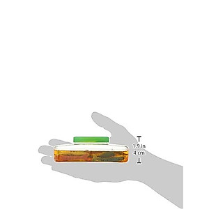 Berkley Gulp! Alive! Shrimp Assortment , 3-Inch