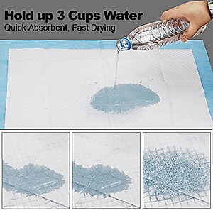 Petfamily Super-Absorbent Dog Training Potty Pee Pads Puppy Piddle Pads (100-Count)