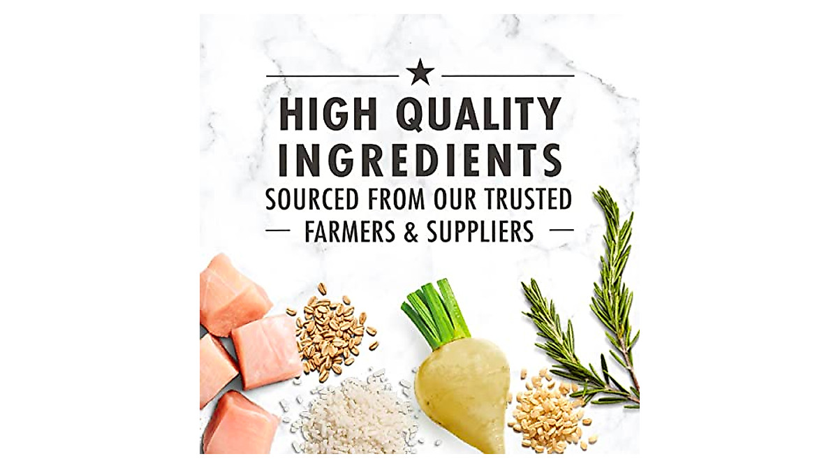 NUTRO Kitten Chicken & Brown Rice Dry Cat Food - 5 lb