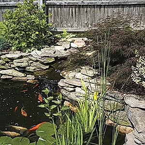 TetraPond Submersible Flat Box Filter, For 250 To 500 Gallon Ponds