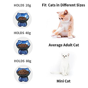 Nihow Elevated Cat/Dog Bowls Set : 5 Inch Ceramic Raised Cat Food and Water Bowl Set for Protecting Pet's Spine - Feeding & Watering Supplies for Pets- Elegant Blue & Black (2PC)