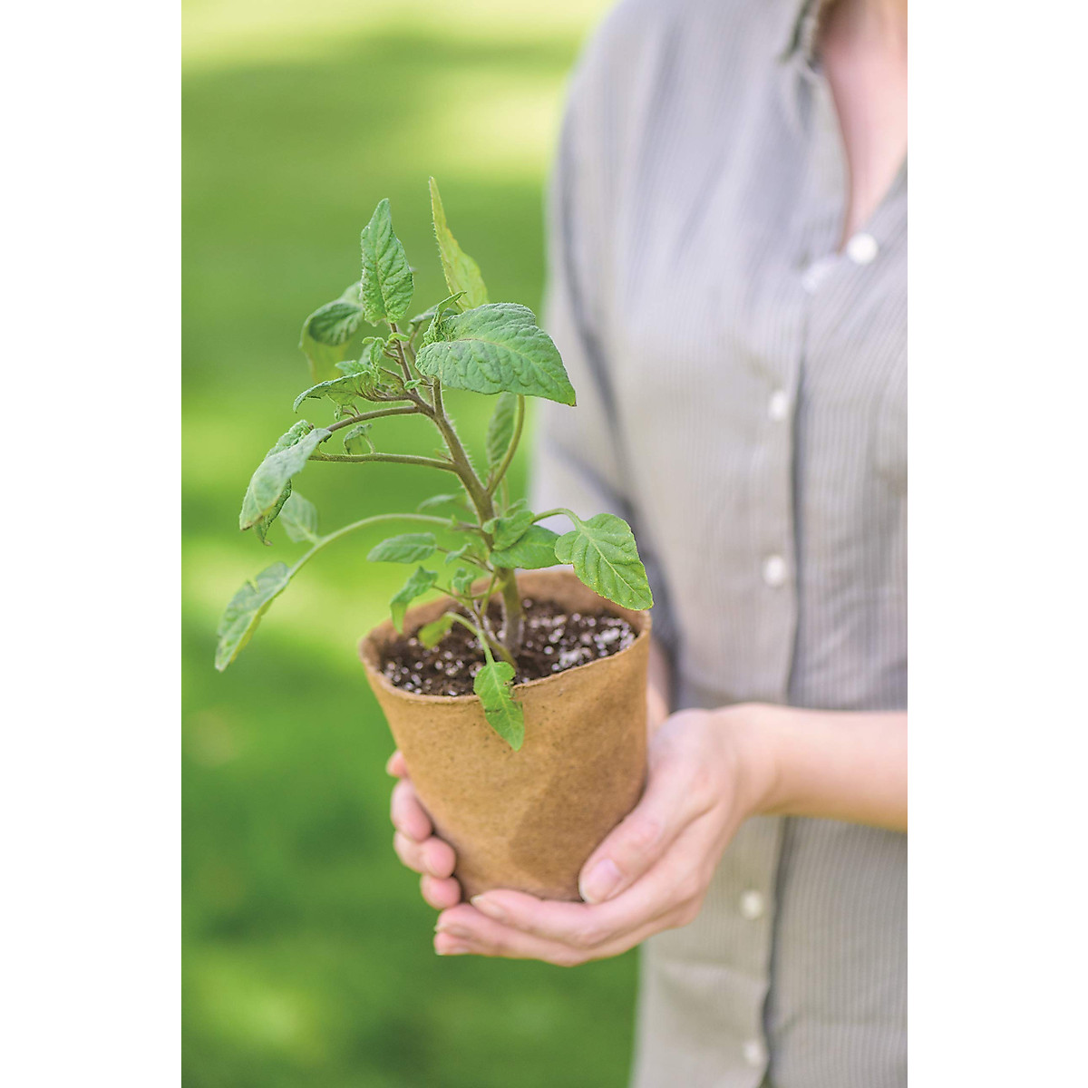 Burpee Biodegradable 4.5" Round Natural Fiber, 10 pots