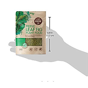 Fiddle Leaf Fig Tree Plant Food - Slow Release Fertilizer Pellets for Potted Figs - Steady Nutrients to Grow Healthy Indoor and Outdoor Ficus Plants (5 oz)