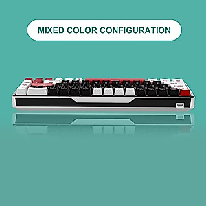 MageGee 60% Mechanical Gaming Keyboard, 68 Keys Hot-Swappable Compact Blue LED Backlit Gaming Keyboard, SKY68 Wired Ergonomic Mini Office Keyboard for Windows PC Gamer (Red Switch, White & Black)