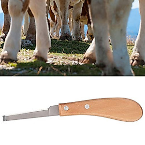 Vensans Straight Blade Shape Carbon Steel Hoof Knife, Trimming Tool for Cattle Horse Use(Right Hand)