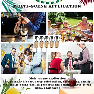 DOERDO 5pcs Stainless Steel Wine Pourers Wine Liquor Bottle Cork Stopper for Wine Olive Oil Coffee Syrup Vinegar Bottles