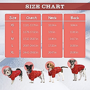 T'CHAQUE Waterproof Winter Dog Fleece Coat Warm Puppy Jackets with Detachable Hood, Windproof Reflective Dog Cold Weather Coats with Leash Hole, Outdoor Play Pet Clothing for Small Medium Dogs