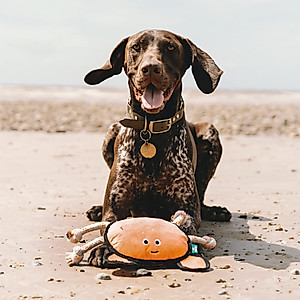 Beco Orange Crab Large Dog Toy, Chew, Fetch, Pull & Squeak Toy, Dual Materials for Long Lasting Play, Double Stitched for Durability, Made with Recycled Materials