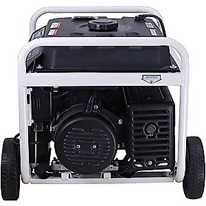 Pulsar PG6580E Portable Generator, Black&White