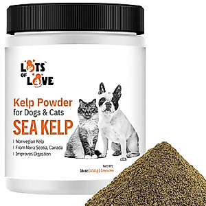 Kelp Powder for Dog & Cat - Organic Sea Kelp Supplement Granules Powder (16 Oz, 1 Pound)