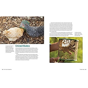 Hentopia: Create a Hassle-Free Habitat for Happy Chickens; 21 Innovative Projects