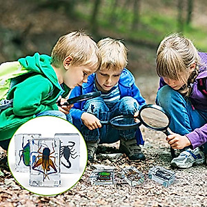 11 Pcs Insects in Resin Specimen Bugs Collection Paperweights Real Bugs in Resin Various Insect Specimen Bug Preserved in Resin Bugs Collection for Kids Scientific Educational Supplies Bugs Display