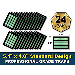 MaxGuard MaxGrip Glue Traps (24 Traps) Non-Toxic Extra Sticky Glue Board Pre-Baited with Fruity Scent Attractant Trap & Kill Insects, Bugs, Spiders, Crickets, Scorpions, Cockroaches, Centipedes, Mice