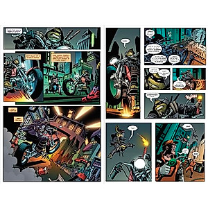 Teenage Mutant Ninja Turtles: The Last Ronin