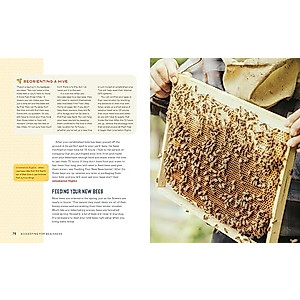 Beekeeping for Beginners: How To Raise Your First Bee Colonies