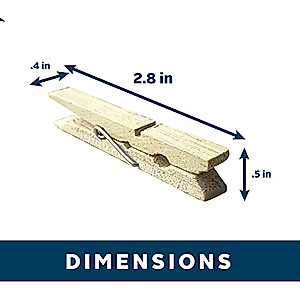 Teal Turtle Wooden Clothespins with Spring for Hanging Laundry, Arts & Crafts, School Projects, Or Bag Clips Set of 20