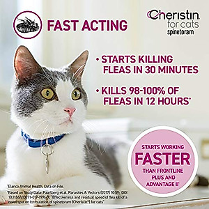 Cheristin for Cats Topical Flea Prevention – Starts Killing Fleas in 30 Minutes, 6 Dose