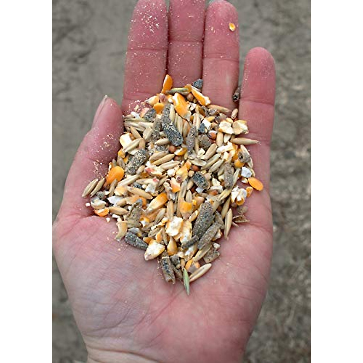 Pampered Chicken Mama Backyard Chicken Feed with Black Soldier Fly Larvae Grubs Soy Free & Herbs (10 Pounds) Non-GMO Layer Pellets: High Protein All-Natural Grower Feed Supplies for Laying Chickens