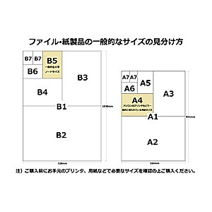 King Jim A4S 65PD Business Card Holder, Postcard Holder Mount