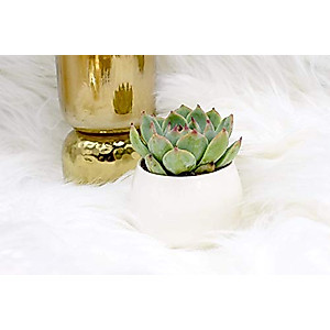 New Job Gift, Congratulations Gift, Way to Grow, Job Promotion Gift, Co (XFB6)