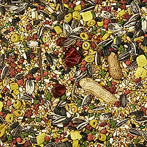 Kaytee Forti-Diet Pro Health Egg-Cite Pet Conure & Lovebird Food, 3 Pound