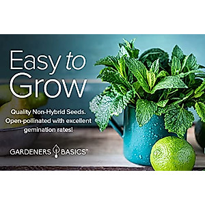 Herbal Tea Seeds for Planting Indoors and Outdoors 5 Variety Packets Echinacea, Peppermint, Lavender, Chamomile and Lemon Balm - Great for Kitchen Herb Garden Heirloom Herb Seeds - Gardeners Basics